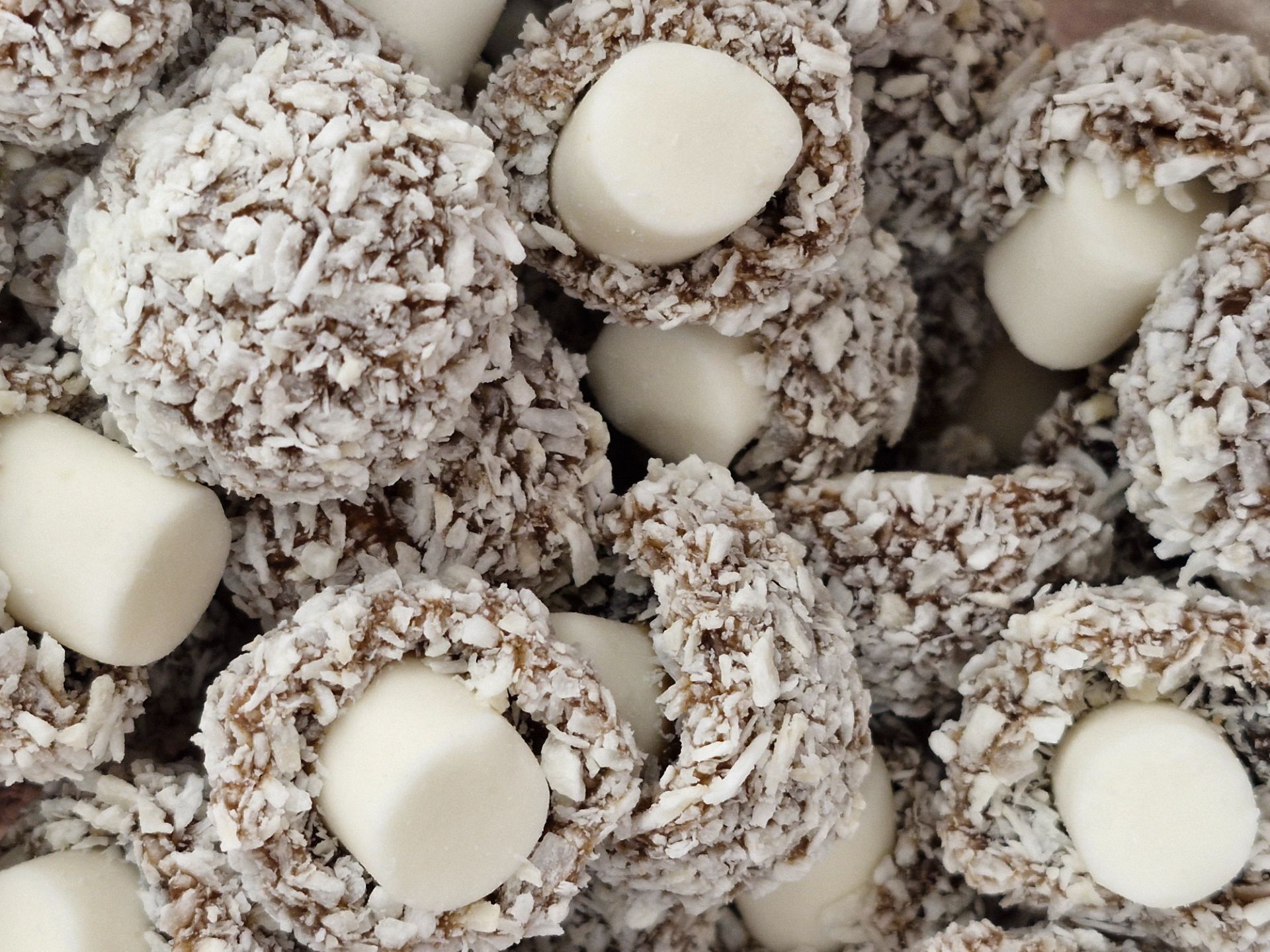 Coconut Mushrooms - Yum Yum Cardigan